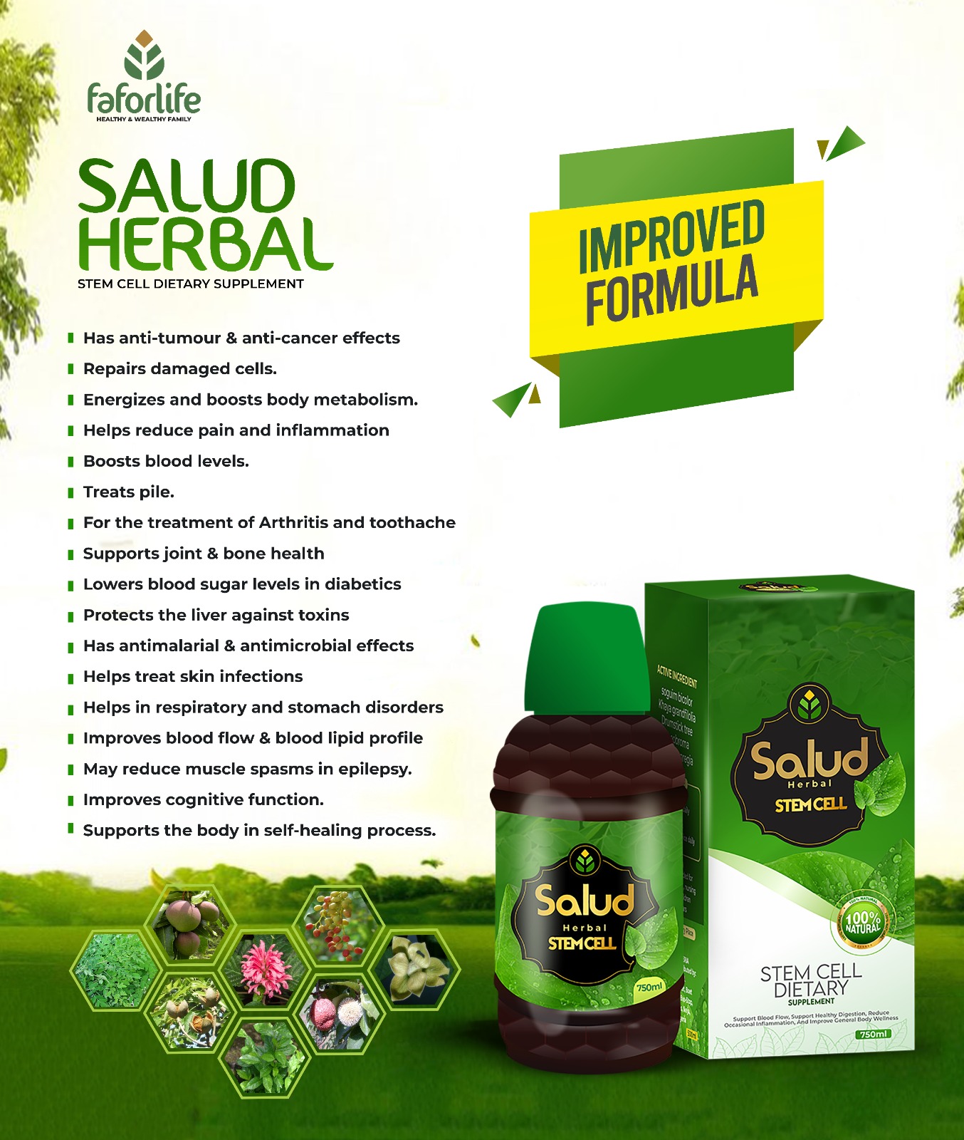 What Is Salud Herbal ? - Faforon Herbal